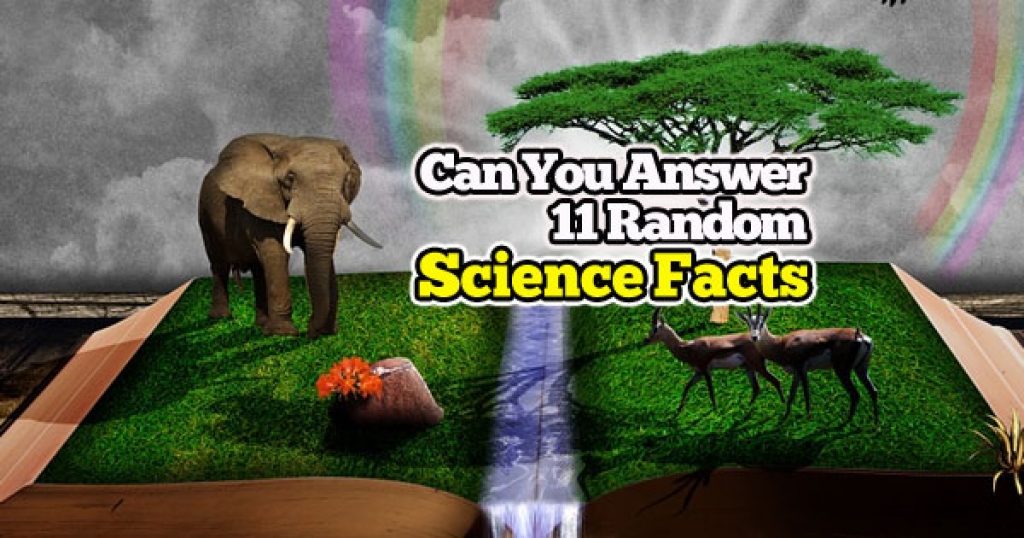 quizwow - Can You Answer 11 Random Elementary Science facts?