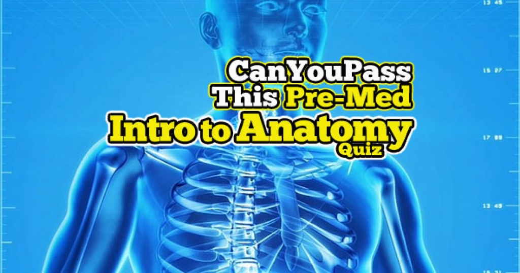 quizwow - Can You Pass This Pre-Med Intro to Anatomy Quiz?