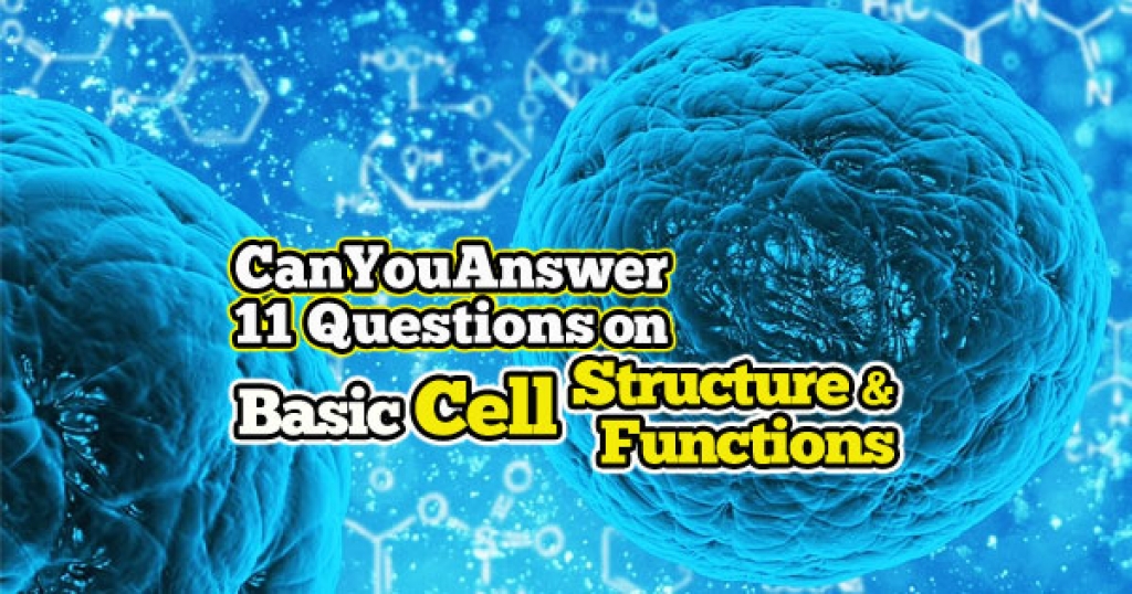 quizwow - Can You Answer 11 Questions on Basic Cell Structure & Functions?